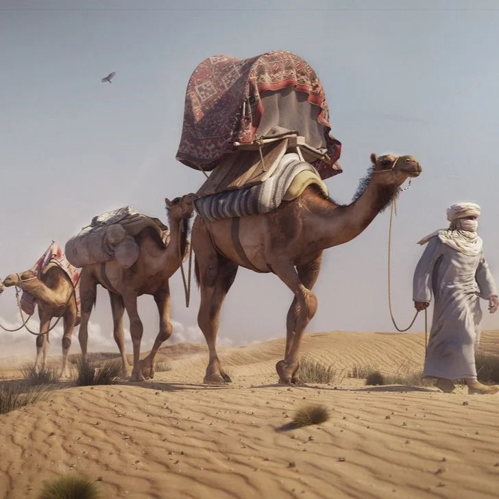 Camelids - All About Camels Camelids