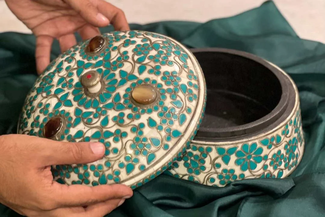 Camelids - All About Camels Camelids